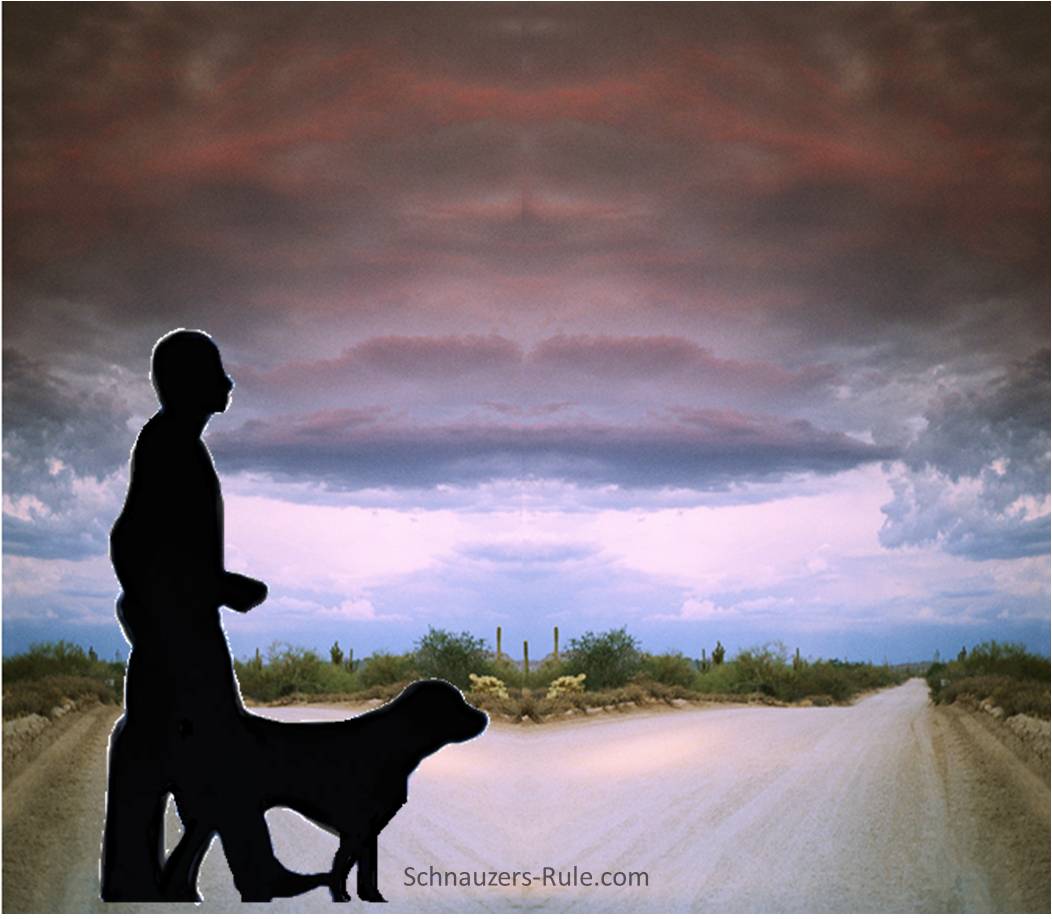 A Man and His Dog Go to Heaven A Man and His Dog Go to Heaven